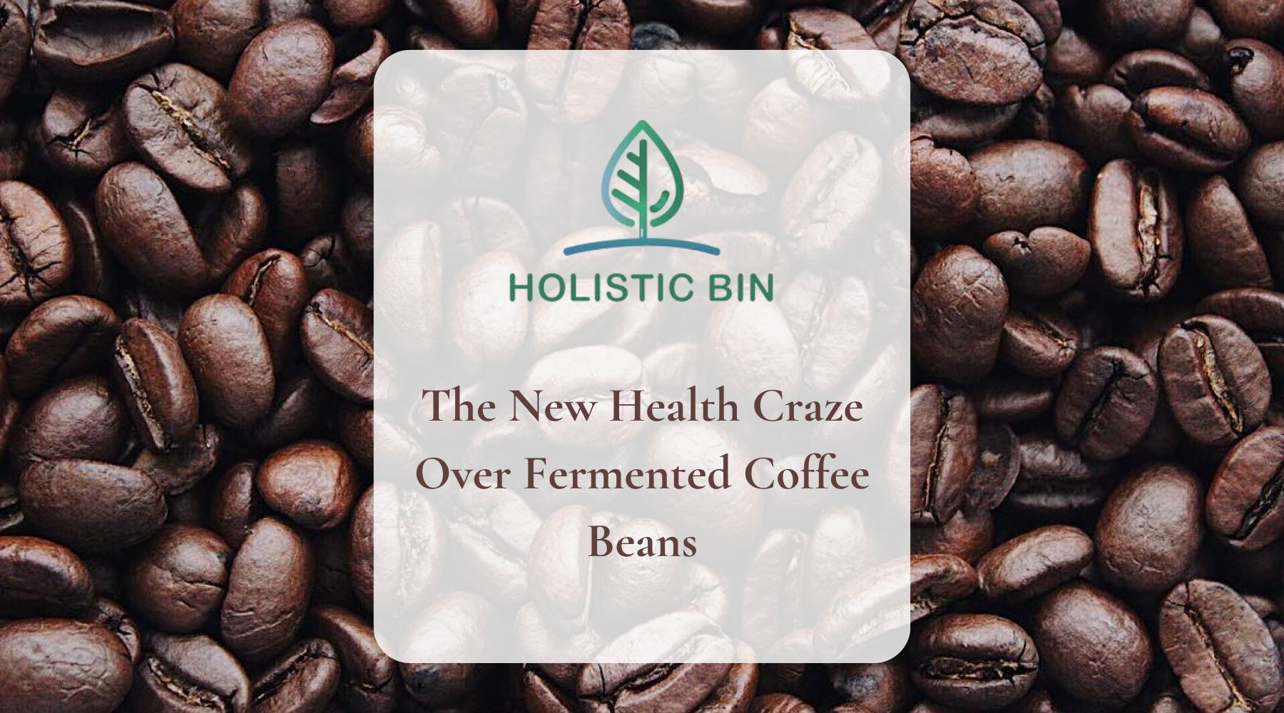The New Health Craze Over Fermented Coffee Beans – Holistic Bin