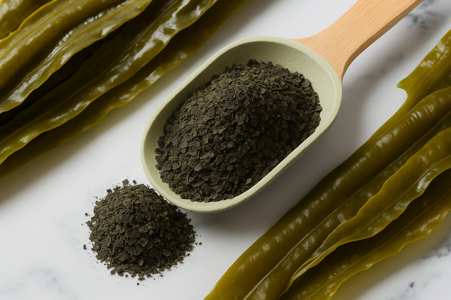 Kelp For Dogs: The Sea Vegetable That’s Saving Sensitive Stomachs ...