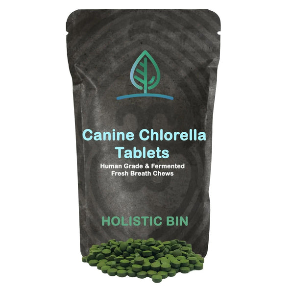 Canine Club | Natural Dog Supplements for Wellness – Holistic Bin