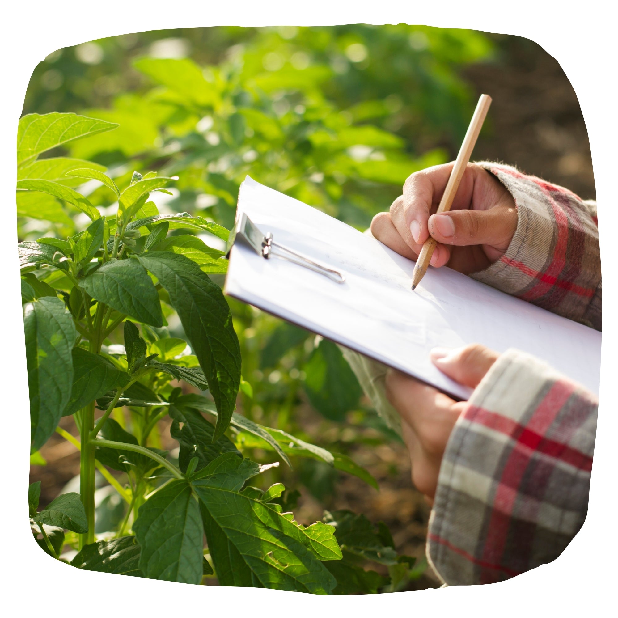 The Bin – Holistic Bin