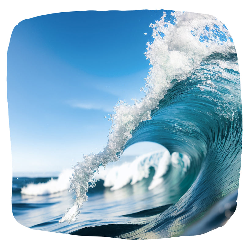 Surf Club | Pure Marine Powders for Natural Wellness – Holistic Bin